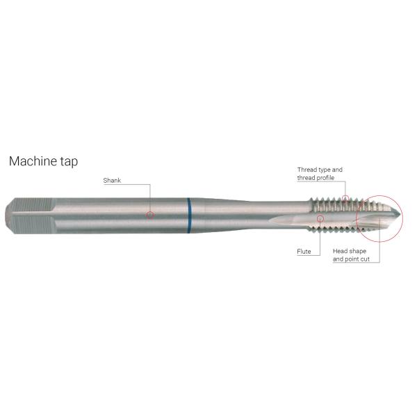 Quality Ti-Coated DIN371 Spiral Point HSS Machine Taps M3-M50 for sale