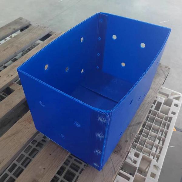 Quality Waterproof Corrugated Plastic Crates Box Lightweight Large Plastic Box With Compartments for sale