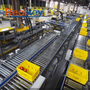Quality High Reliability Heavy Duty Gravity Conveyor Automatic User Friendly for sale