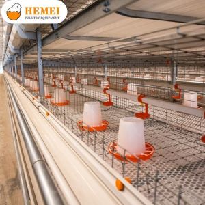 Quality H Type Multi Tiers Manual Harvesting Broiler Cage Equipment for sale
