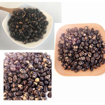 Quality Roasted Black Bean Snacks With Pure Physical Processing Full nutrition vegan for sale