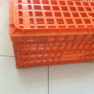 Quality Pure PE Poultry Carrier Crate Chicken Transport Cage Customized for sale