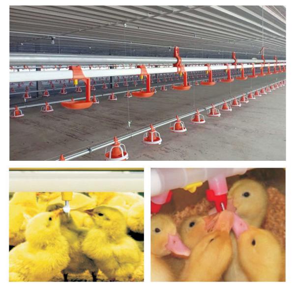 Quality Animal&Poultry Husbandry Equipment Chicken Waters Automatic Poultry Nipple for sale