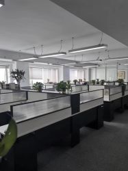 China Factory - Henan Zhun Sheng Trade Co., Ltd.