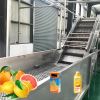 Beverage Extracting Sus304 1500t/D Citrus Processing Line china Beverage Extracting Sus304 1500t/D Citrus Processing Line
