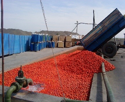 Quality Automatic Tomato Paste Production Line for sale