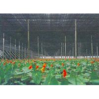 Quality Agriculture Greenhouse Shade Netting for sale