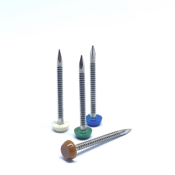 Quality A4 Stainless Steel Plastic Head Nails for sale