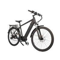Quality Hidden Battery ANANDA 250w Mid Drive Electric Road Bici Elettrica with Central for sale