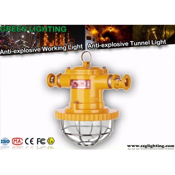 Quality IP67 Led Tunnel Lighting Explosion Proof Die - Casting Aluminum Housing for sale