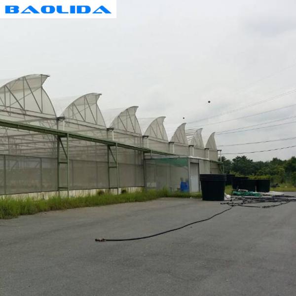 Quality Reinforced Plastic Sheeting Greenhouse For Tropical Climate Prefabricated for sale