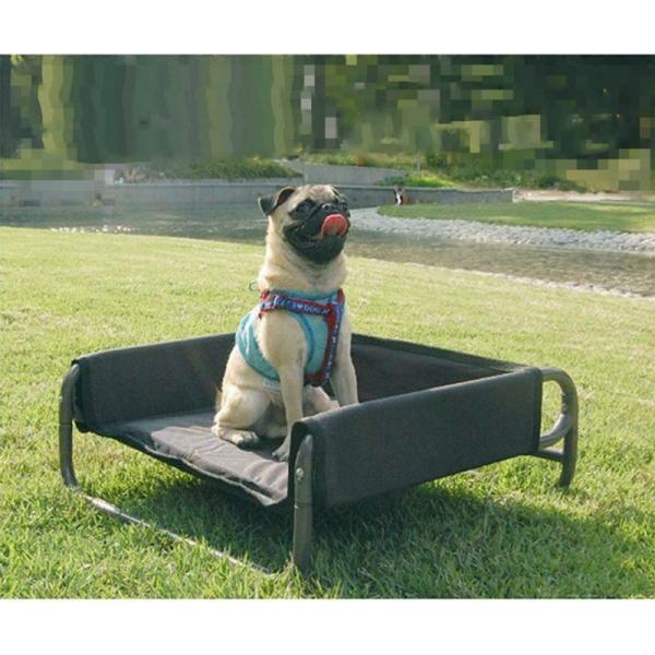 Quality 80kg Indoor Elevated Dog Bed 22in Folding Raised Dog Bed for sale
