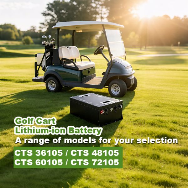 Quality CTS 48V 100Ah LiFePO4 Golf Cart Battery for Electric Golf Carts & NEV with Bluetooth BMS for sale