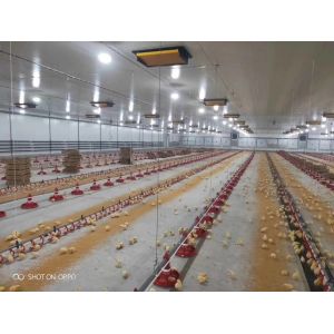 Quality Automatic Duck Steel 12mm Poultry Farm House for sale
