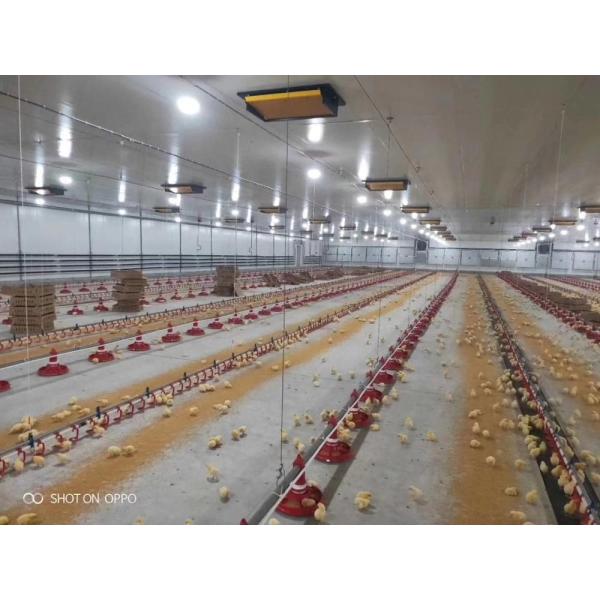 Quality Automatic Duck Steel 12mm Poultry Farm House for sale