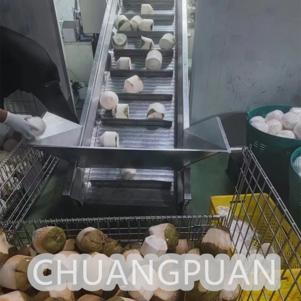 Quality Efficient Coconut Water And Milk Processing Machine Bottle Filling System 1 Year for sale