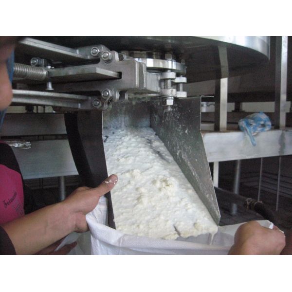 Quality Automatic CIP Clean Dairy Processing Plant 200kg/H Cheese Processing Line for sale