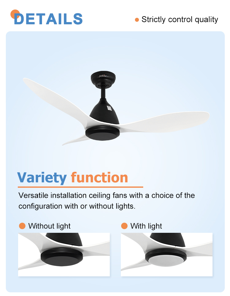 ceiling fan