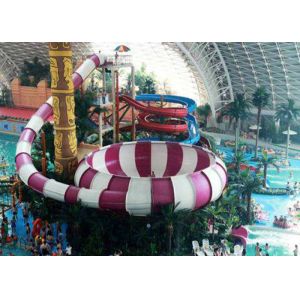 Quality Fiberglass Water Park Slide , Indoor Middle Behemoth Slide For Adult for sale