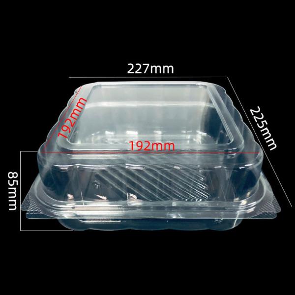 Quality Direct Customized PET Blister Clamshell Packaging for Bakery Food Clear and for sale