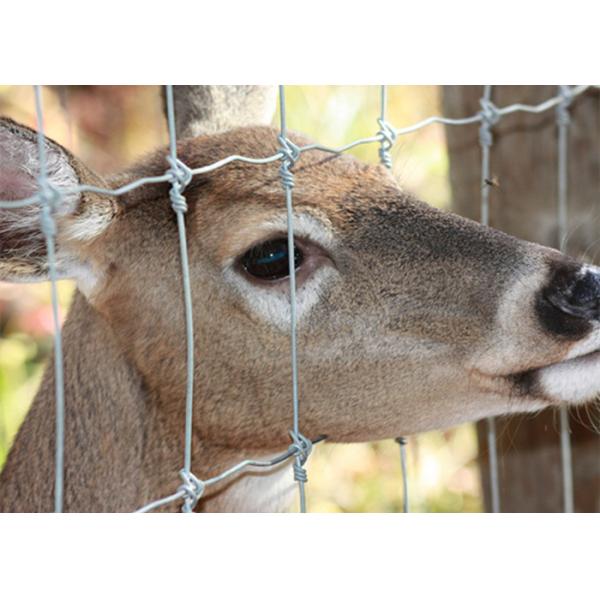 Quality Silver Fixed Knot Deer Fence With Square Hole Shape Hot Dipped Galvanized for sale