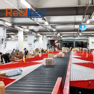 Quality Customized Safety Automated Sorting Systems Warehouse Sortation Systems for sale
