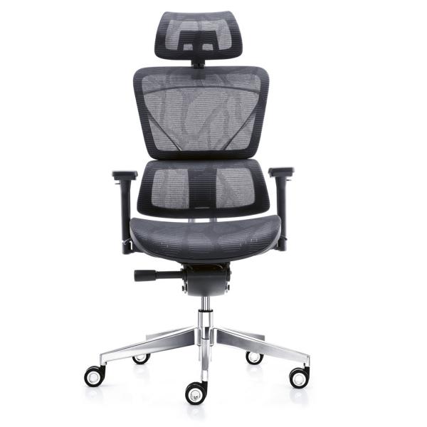 Quality Breathable 0.317m3 W650mm Office Mesh Chairs Dual Backrests for sale