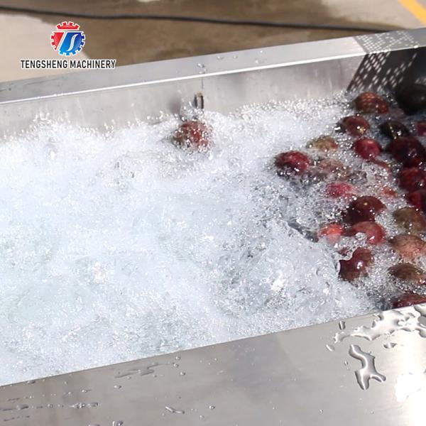 Quality Fruit And Vegetable Wool Roller Bubble Cleaning Machine 1500KG/H for sale