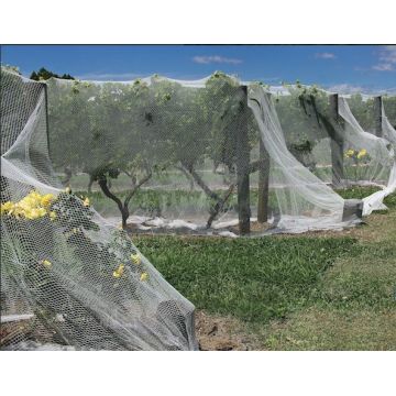 Quality SRCA Open Cam Shade Net Manufacturing Machine 3-7.5KW Color Customized for sale