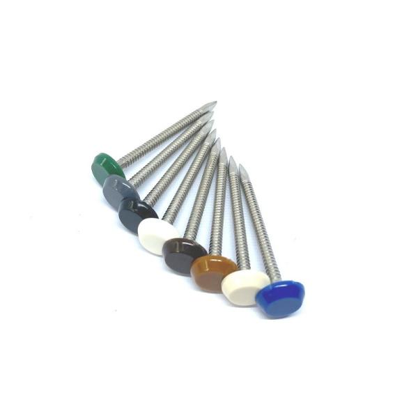 Quality OEM 65mm Plastic Head Nails , Outside Construction And Building Nails for sale