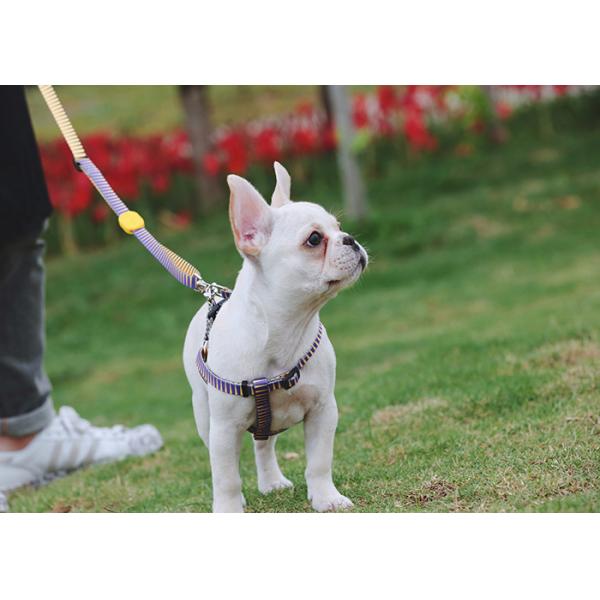 Quality Adjustable Polyester Dog Harness for sale