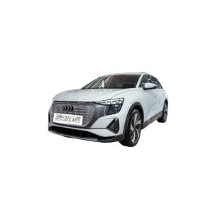 Quality Electric EV Car for sale