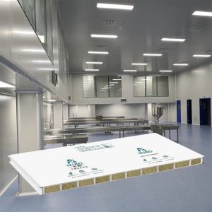 Quality Fireproof Machine Made Mgo Rock Wool Sandwich Panel Anti Bacterial For for sale