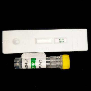 Quality Canine Distemper Virus Veterinary Rapid Test Immunochromatography for sale
