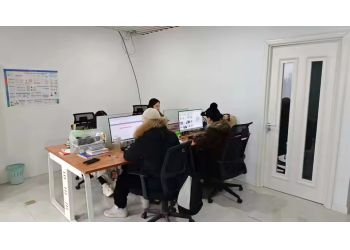 China Factory - Shandong Ah-Factory Import And Export Co., Ltd.