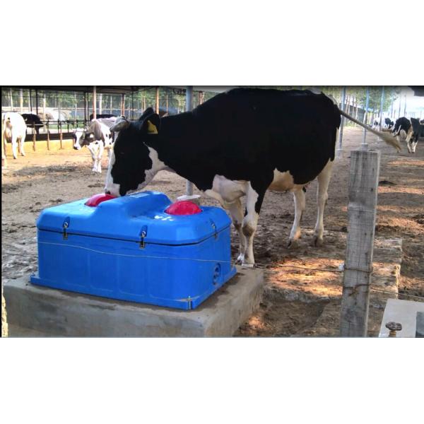 Quality LLDPE Livestock Water Trough for sale