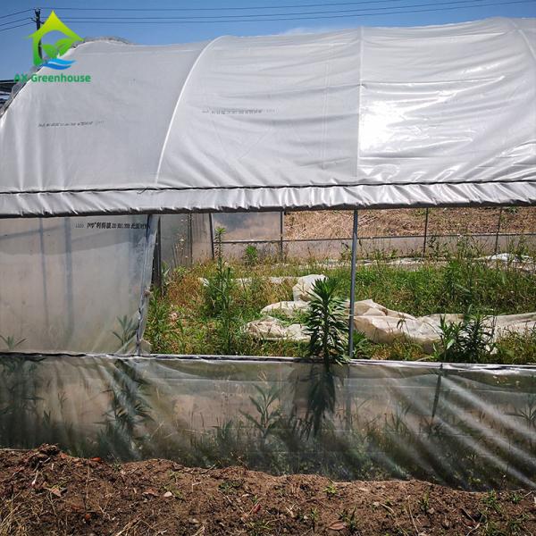 Quality Stable Structure Easily Assembled 26ft Width Poly Tunnel Greenhouse for for sale