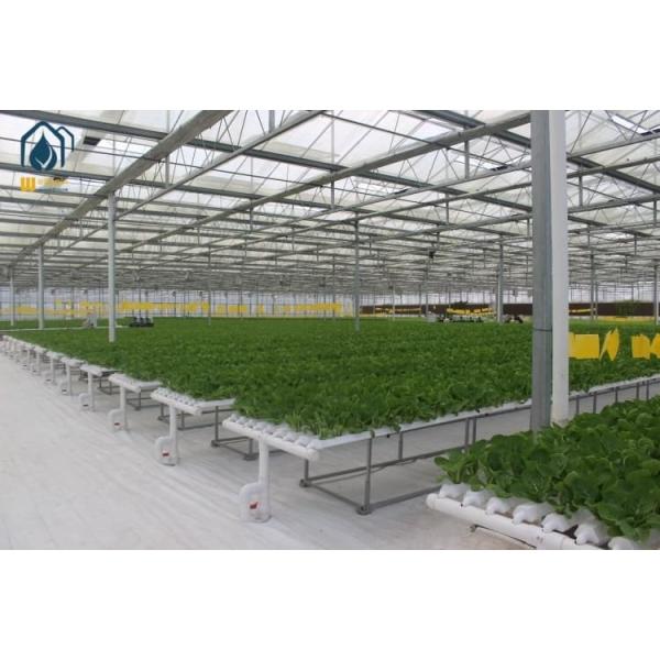 Quality PVC Hydroponic Growing System Customized NFT Gully Systems For Leafy Greens for sale