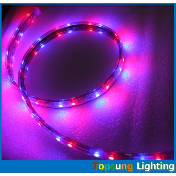 Quality Hot sale 5050 smd 60LED/m blue strip flexible led ribbon 110V AC LED strip for sale