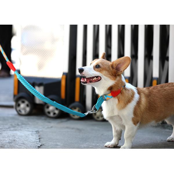 Quality 10 Ft Quick Release Hunting Dog Leash Polyester Fabric American Style for sale
