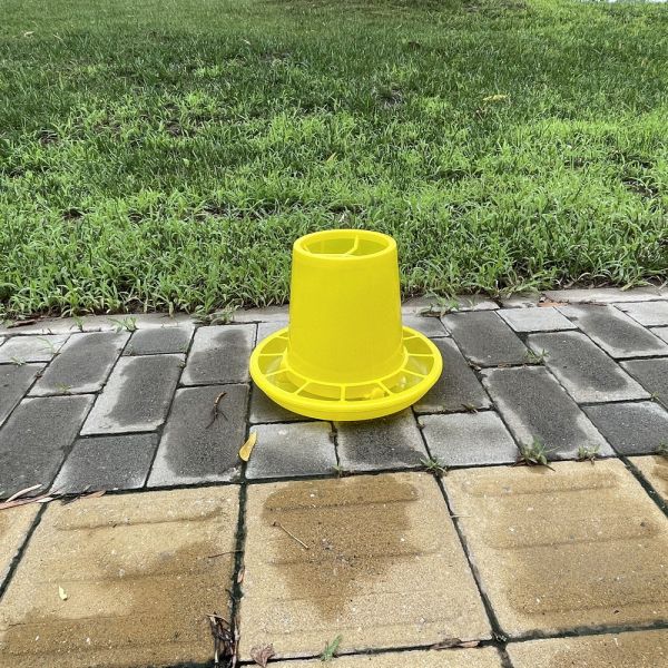 Quality Round Modern Design Large Chicken Feeder Bucket for sale