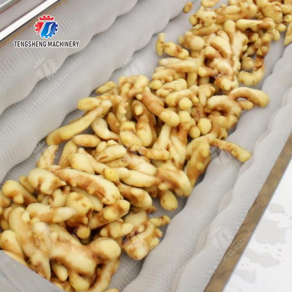 Quality Brush bubble cleaning, drying, selection and cutting production line Revolutioni for sale