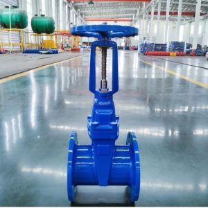 Quality DIN3352 F4 Elastic Seat Rising Stem Valve DN100 Gate Valve Cast Iron for sale