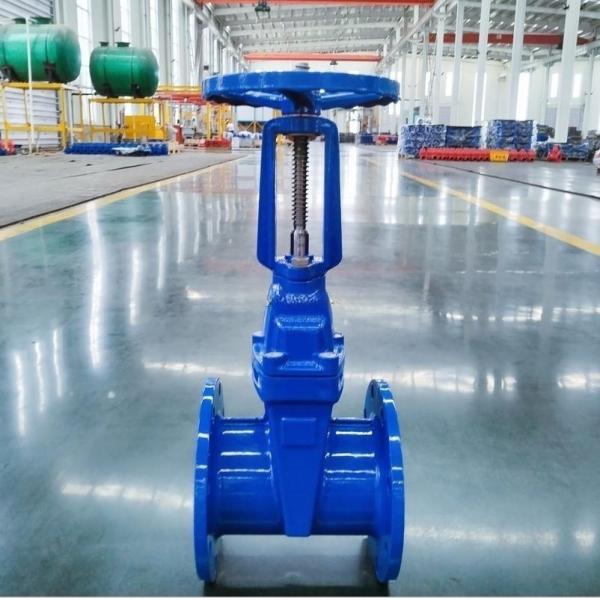 Quality DIN3352 F4 Elastic Seat Rising Stem Valve DN100 Gate Valve Cast Iron for sale