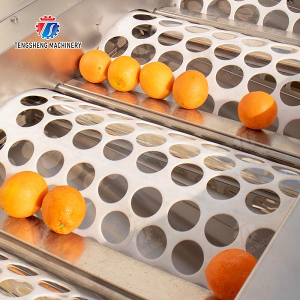 Quality Fruit Orange Vegetable Saiko persimmon lemon tangerine passion fruit avocado for sale