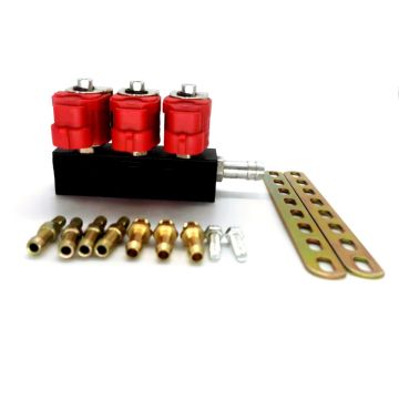 Quality LN-VTK03 3 Cyl LPG CNG Gas Fuel Injector Rail Compressed Natural Gas Injector for sale