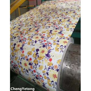 Quality Interior Decoration PPGI Steel Coil PE Coating Pattern Printing Precision 0.2MM for sale
