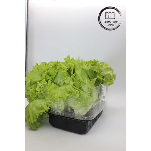 Quality Artificial Garden Vegetables and Fruits Plastic Seedling Trays Perfect for for sale