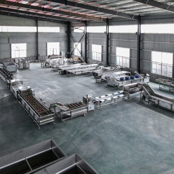 Quality Customized Usage Vegetable and Fruit Cleaning Line for Advanced Streamlined for sale