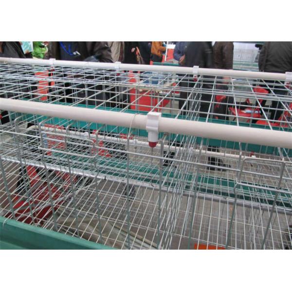 Quality Stepped H Type Layer Cage 490mpa / Chicken Egg Layer Cages 56cm width for sale